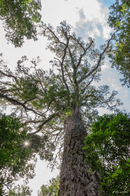 Préparer son voyage en Afrique du Sud - A six en sac